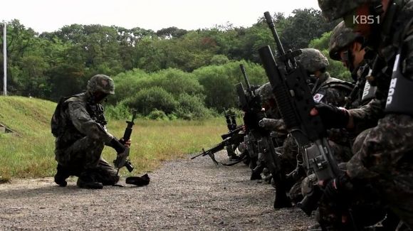 이걸보고도 군인들이 집지키는 개일까?(DMZ 다큐1편) - 인스티즈(instiz) 이슈 카테고리