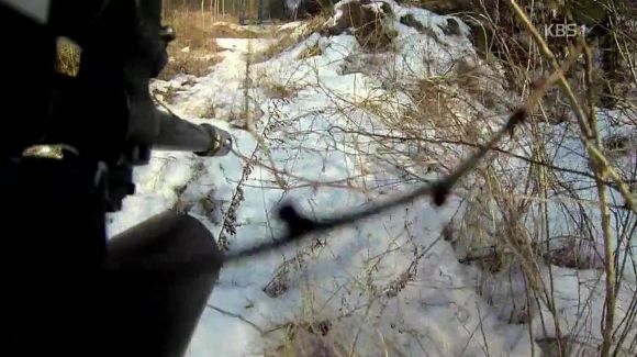 이걸보고도 군인들이 집지키는 개일까?(DMZ 다큐1편) - 인스티즈(instiz) 이슈 카테고리