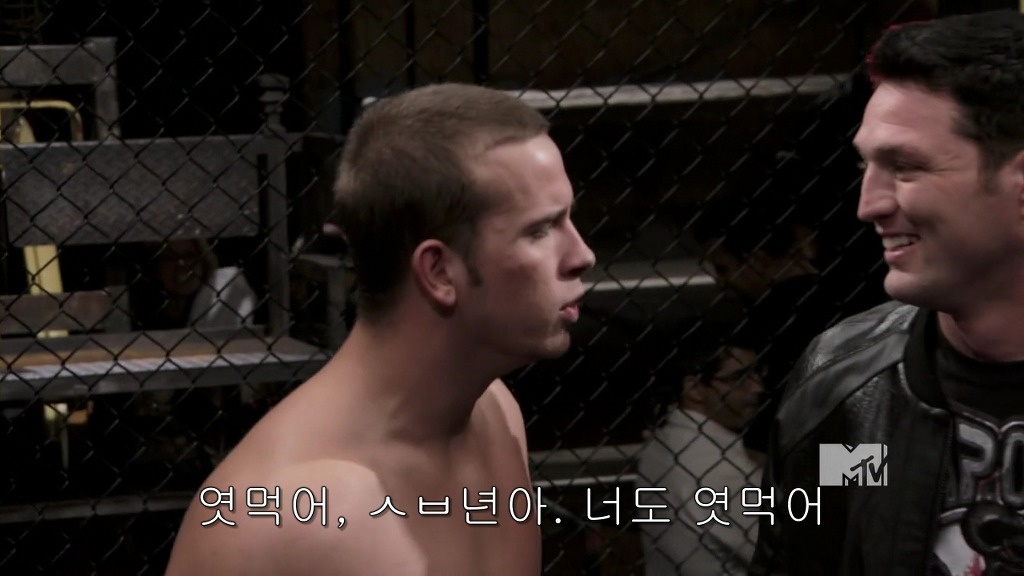MMA 프로파이터 vs 지역 일짱 양아치 - 인스티즈(instiz) 이슈 카테고리