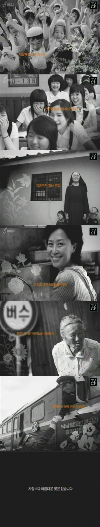 감동의 SK텔레콤 광고들과 감동적인 사진들 有 - 인스티즈(instiz) 이슈 카테고리