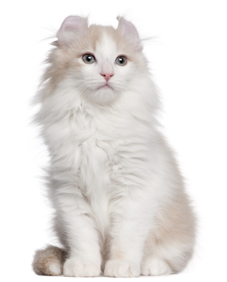 [EXO/찬레이] 피스톨즈 - 인스티즈(instiz) 픽션 카테고리