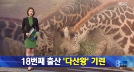 MBC - 인스티즈(instiz) 이슈 카테고리