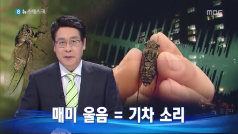 MBC - 인스티즈(instiz) 이슈 카테고리