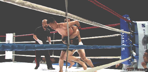 레슬링 짜고 치는게 아닌 실전 MMA 슈플랙스(Suplex).swf - 인스티즈(instiz) 이슈 카테고리