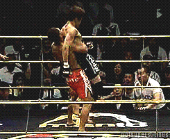 레슬링 짜고 치는게 아닌 실전 MMA 슈플랙스(Suplex).swf - 인스티즈(instiz) 이슈 카테고리