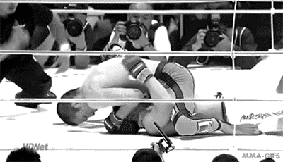 MMA 아오키 신야 '고고플라타'기술.swf - 인스티즈(instiz) 이슈 카테고리