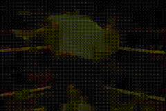 MMA 아오키 신야 '고고플라타'기술.swf - 인스티즈(instiz) 이슈 카테고리