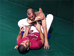 MMA 아오키 신야 '고고플라타'기술.swf - 인스티즈(instiz) 이슈 카테고리