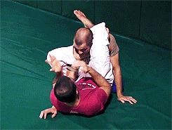 MMA 아오키 신야 '고고플라타'기술.swf - 인스티즈(instiz) 이슈 카테고리