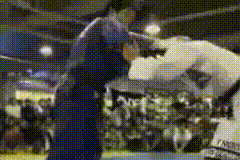 MMA 아오키 신야 '고고플라타'기술.swf - 인스티즈(instiz) 이슈 카테고리