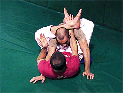 MMA 아오키 신야 '고고플라타'기술.swf - 인스티즈(instiz) 이슈 카테고리