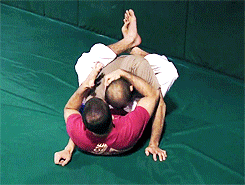 MMA 아오키 신야 '고고플라타'기술.swf - 인스티즈(instiz) 이슈 카테고리