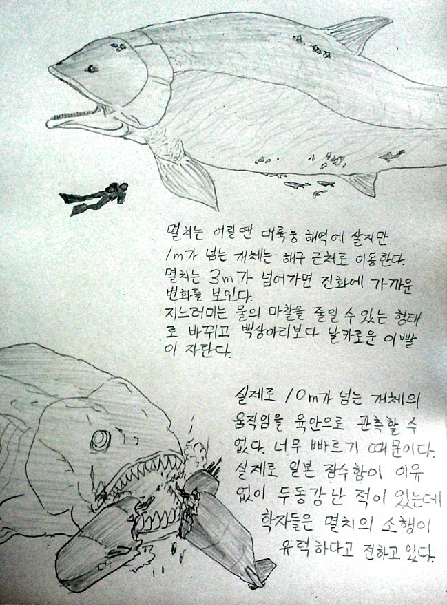 멸치의 비밀 인스티즈 Instiz 이슈 카테고리