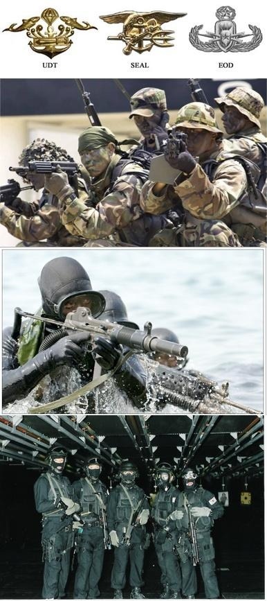 대한민국의 특수부대! - 인스티즈(instiz) 이슈 카테고리