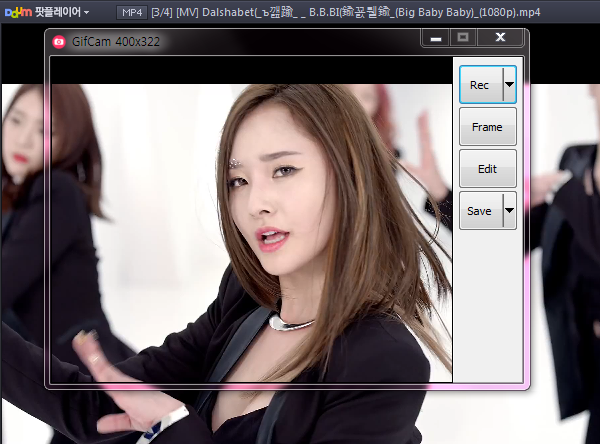 《동영상을 GIF로 간단히 변환》GIFCAM 4.0 - 인스티즈(instiz) 이슈 카테고리