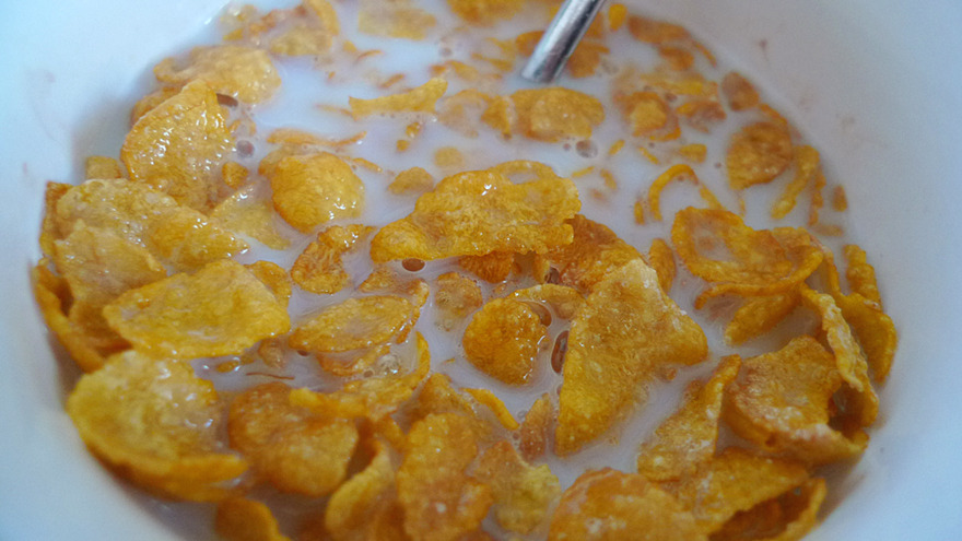 물렁물렁 vs 바삭바삭 (feat. 콘푸로스트 vs 첵스) - 인스티즈(instiz) 이슈 카테고리