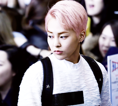 EXO 텀블러짤 털이 : 251 - 인스티즈(instiz) 엑소 카테고리