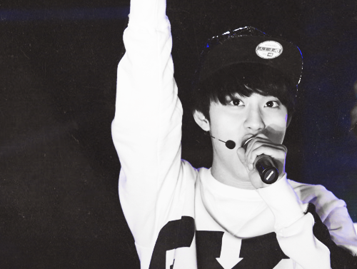 EXO 텀블러짤 털이 : 242 - 인스티즈(instiz) 엑소 카테고리