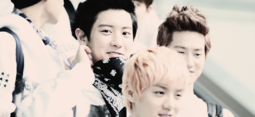 EXO 텀블러짤 털이 :: 187 - 인스티즈(instiz) 엑소 카테고리