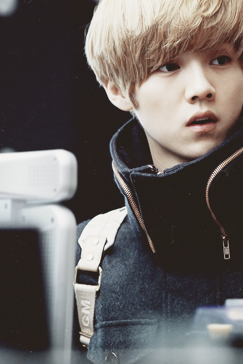 EXO 텀블러짤 털이 :: 62 - 인스티즈(instiz) 엑소 카테고리