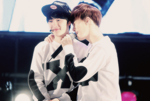 EXO 텀블러짤 털이 : 242 - 인스티즈(instiz) 엑소 카테고리