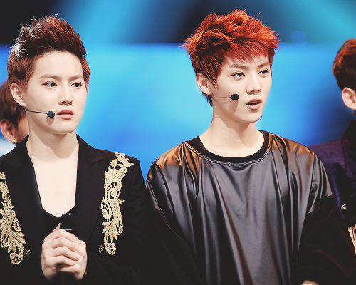 EXO 텀블러짤 털이 :: 125 - 인스티즈(instiz) 엑소 카테고리