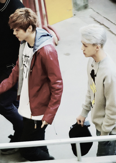 EXO 텀블러짤 털이 :: 194 - 인스티즈(instiz) 엑소 카테고리