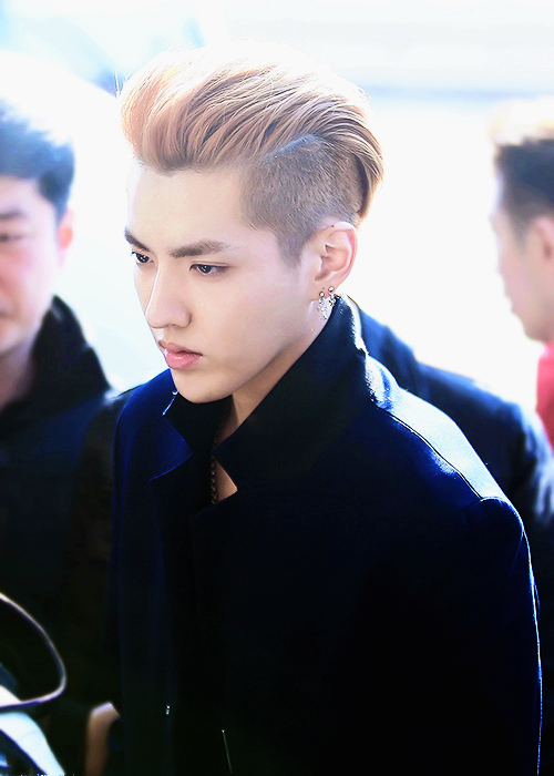 EXO 텀블러짤 털이 : 251 - 인스티즈(instiz) 엑소 카테고리