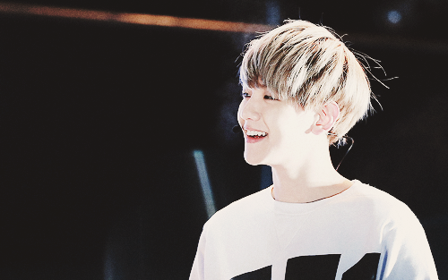 EXO 텀블러짤 털이 : 242 - 인스티즈(instiz) 엑소 카테고리