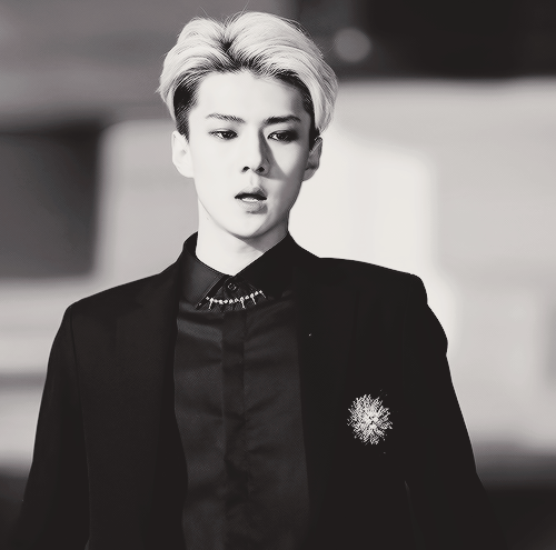 EXO 텀블러짤 털이 : 245 - 인스티즈(instiz) 엑소 카테고리