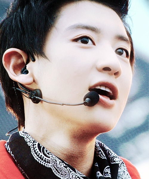 EXO 텀블러짤 털이 :: 187 - 인스티즈(instiz) 엑소 카테고리