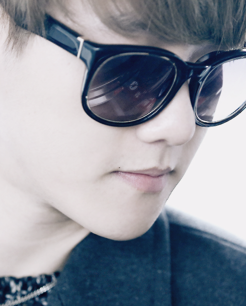 EXO 텀블러짤 털이 : 249 - 인스티즈(instiz) 엑소 카테고리