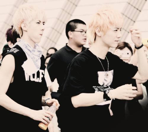 EXO 텀블러짤 털이 :: 187 - 인스티즈(instiz) 엑소 카테고리