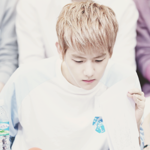 EXO 텀블러짤 털이 :: 84 - 인스티즈(instiz) 엑소 카테고리