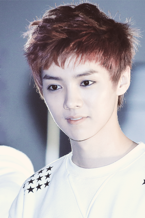 EXO 텀블러짤 털이 :: 121 - 인스티즈(instiz) 엑소 카테고리