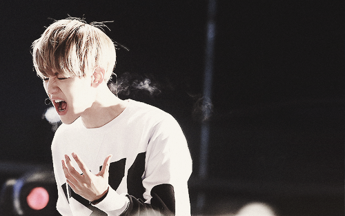 EXO 텀블러짤 털이 : 242 - 인스티즈(instiz) 엑소 카테고리