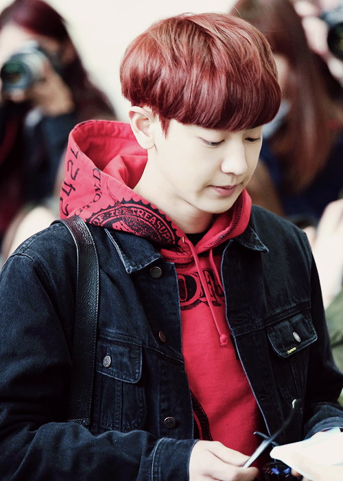 EXO 텀블러짤 털이 : 251 - 인스티즈(instiz) 엑소 카테고리