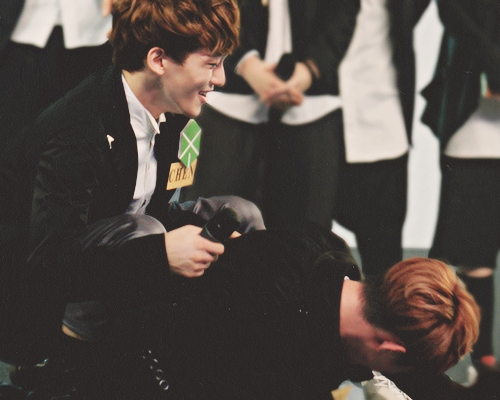 EXO 텀블러짤 털이 :: 148 - 인스티즈(instiz) 엑소 카테고리