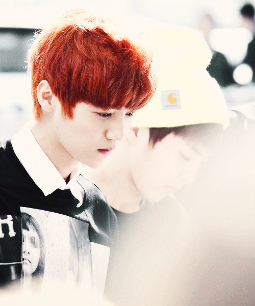 EXO 텀블러짤 털이 :: 66 - 인스티즈(instiz) 엑소 카테고리