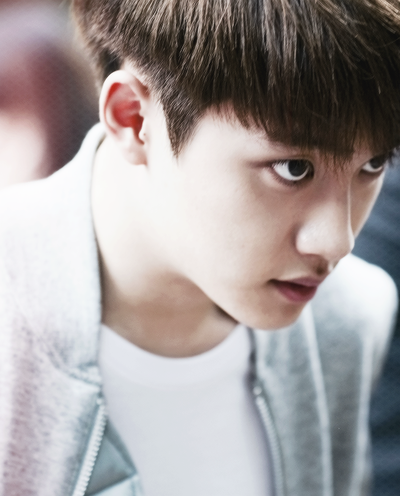 EXO 텀블러짤 털이 :: 102 - 인스티즈(instiz) 엑소 카테고리