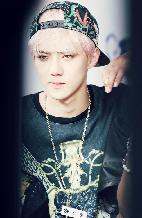 EXO 텀블러짤 털이 :: 28 - 인스티즈(instiz) 엑소 카테고리