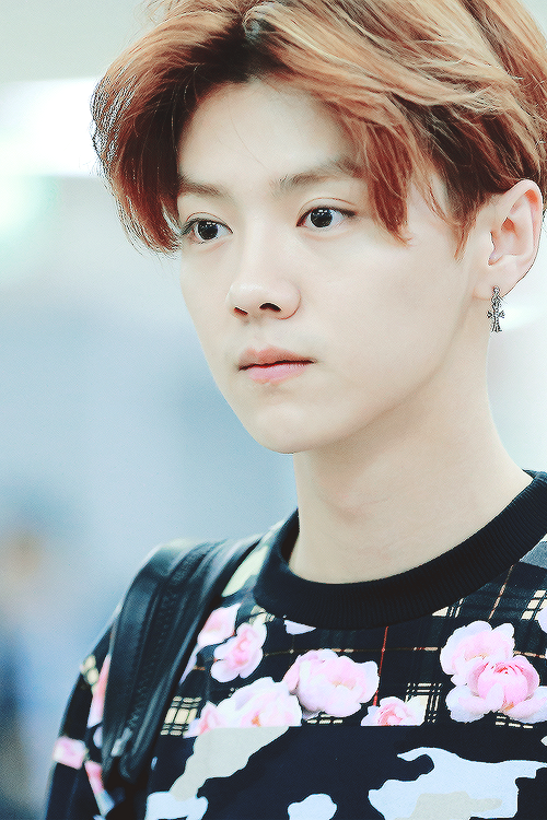 EXO 텀블러짤 털이 : 251 - 인스티즈(instiz) 엑소 카테고리