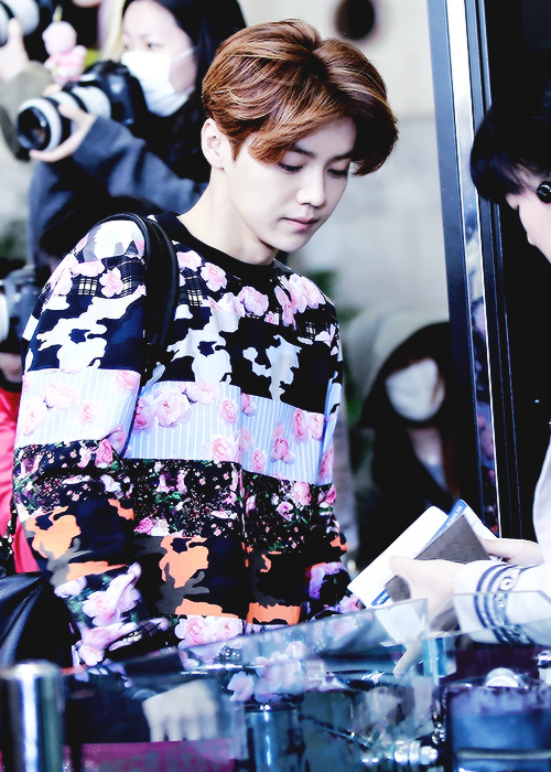 EXO 텀블러짤 털이 : 252 - 인스티즈(instiz) 엑소 카테고리