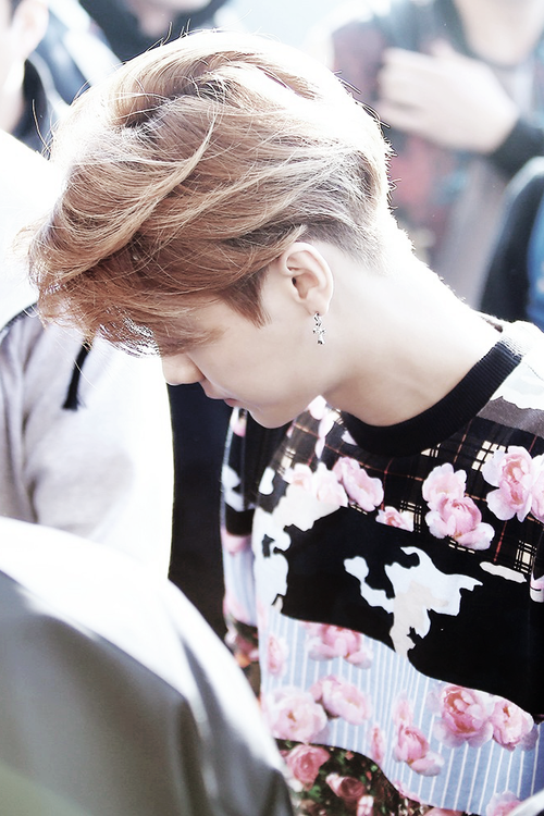 EXO 텀블러짤 털이 : 252 - 인스티즈(instiz) 엑소 카테고리