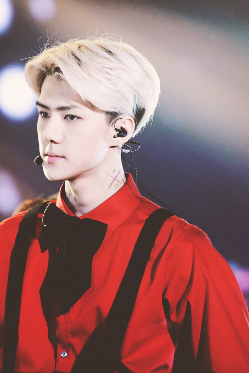 EXO 텀블러짤 털이 : 252 - 인스티즈(instiz) 엑소 카테고리