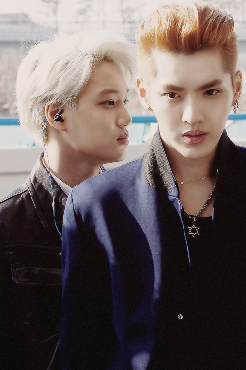 EXO 텀블러짤 털이 : 251 - 인스티즈(instiz) 엑소 카테고리