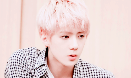 EXO 텀블러짤 털이 :: 124 - 인스티즈(instiz) 엑소 카테고리