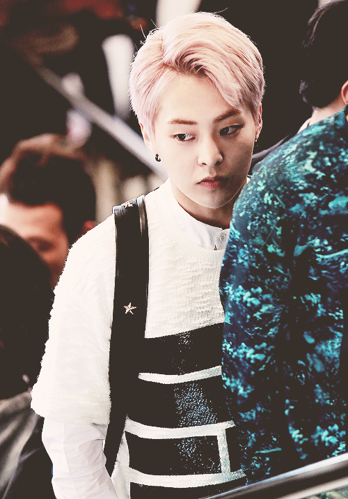 EXO 텀블러짤 털이 : 251 - 인스티즈(instiz) 엑소 카테고리