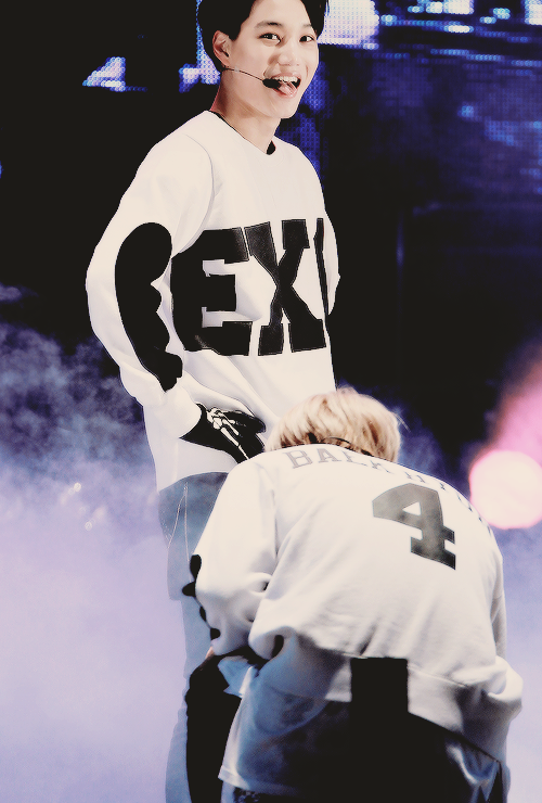 EXO 텀블러짤 털이 : 242 - 인스티즈(instiz) 엑소 카테고리