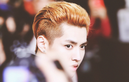 EXO 텀블러짤 털이 : 251 - 인스티즈(instiz) 엑소 카테고리